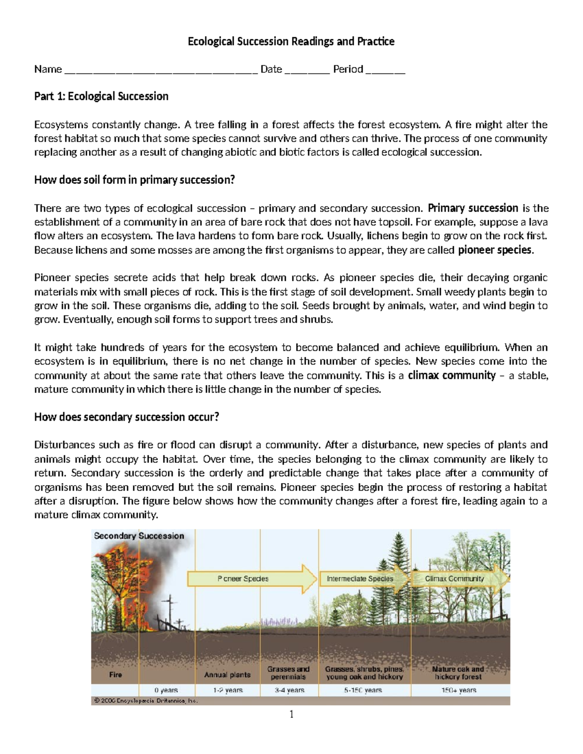 Ecological Succession Worksheet: Readings & Practice Guide - Studocu