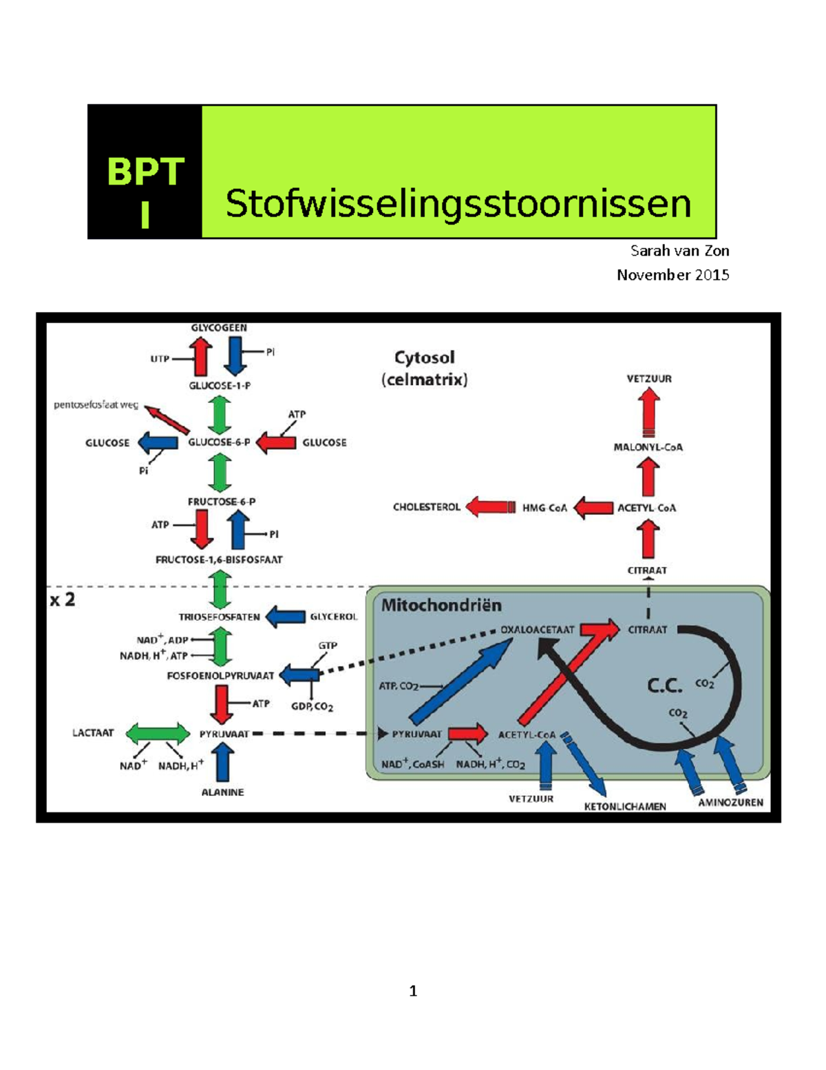 Bonuspunttoets I: Metabole Paden en Functies (Weeken 1-3) - Studeersnel