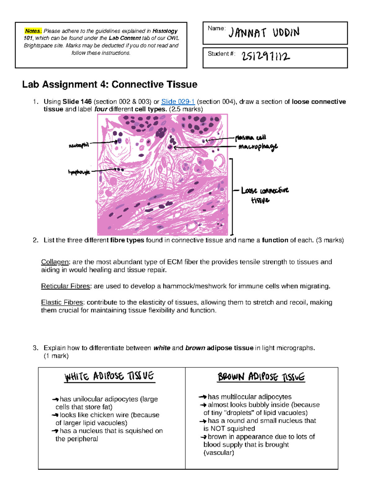 LAB 4 - Connective Tissue Study Guide for Histology 101 - Studocu