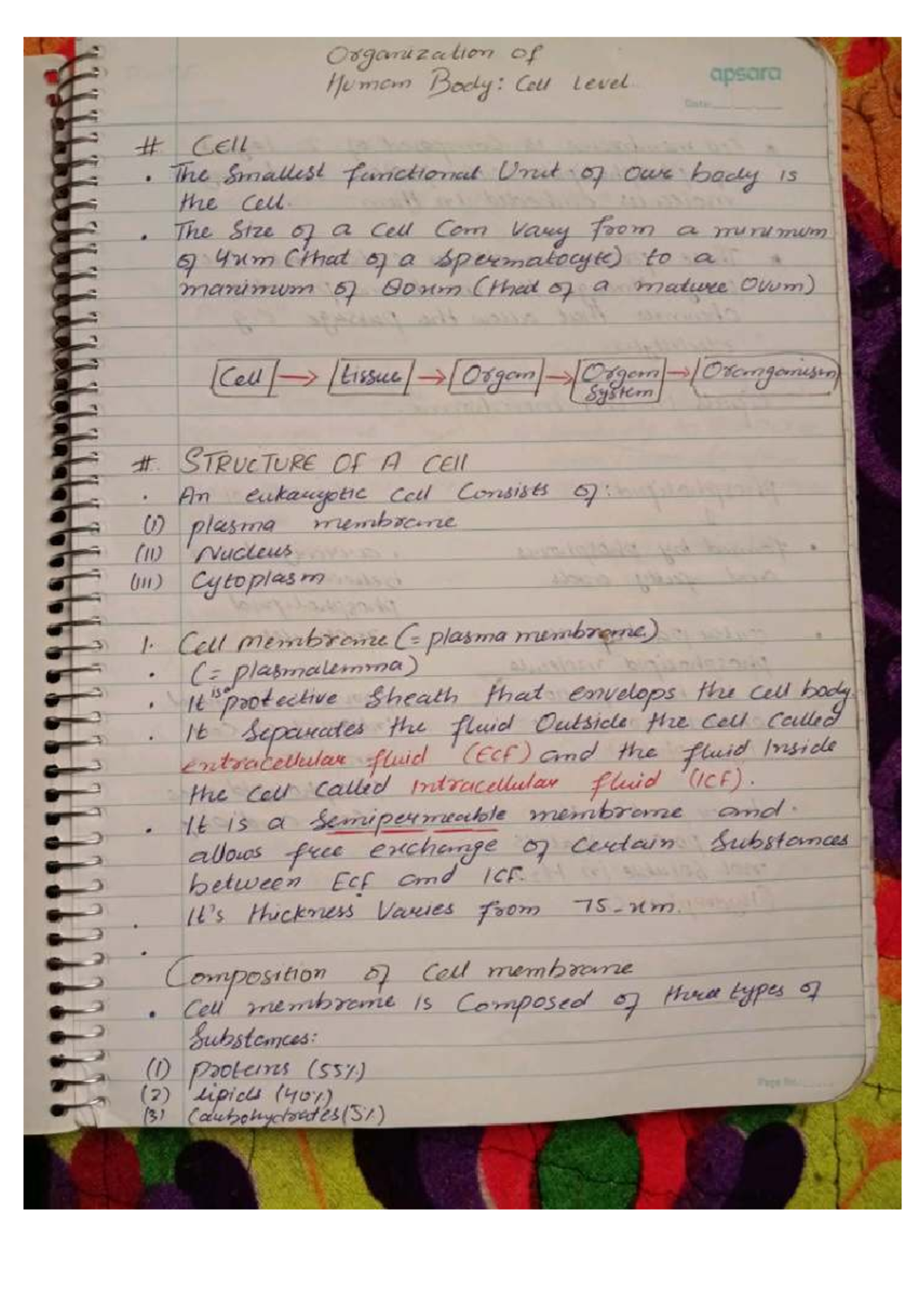 Cell Structure, Body Fluids, and Division: A Comprehensive Overview ...