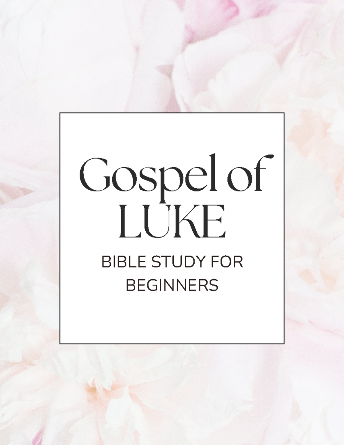Gospel of LUKE BIBLE STUDY FOR BEGINNERS: Key Lessons and Insights ...