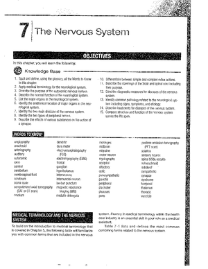 Chapter 11 - The Muscular System Overview and Key Terminology - Studocu