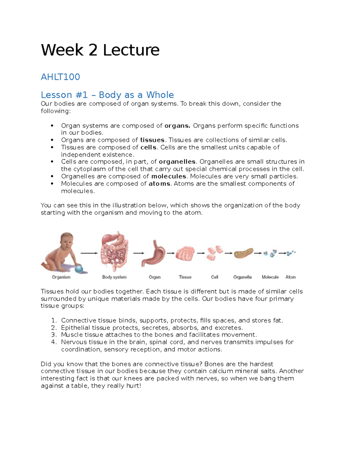 UTF-8''Week 202 Lecture: Understanding Body Systems and Anatomy - Studocu