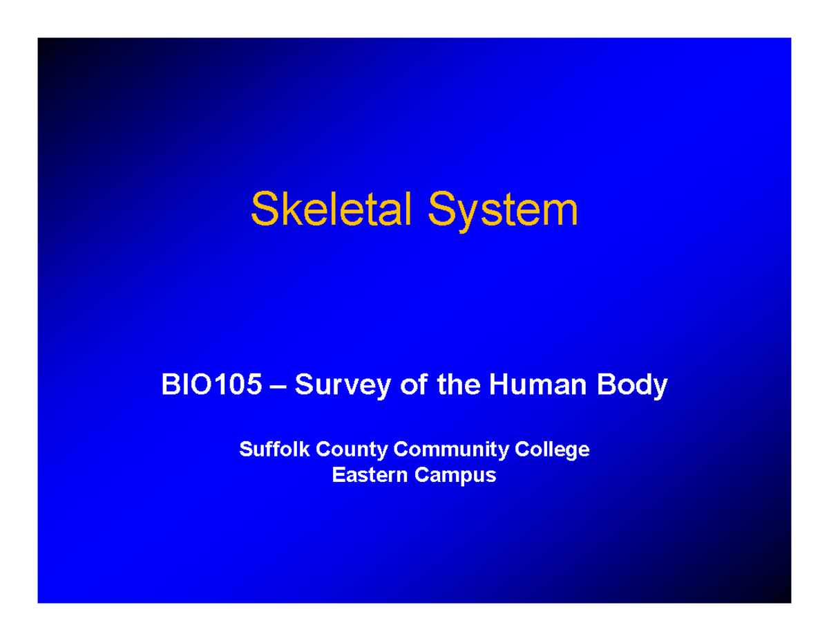 BIO105 - Lecture 12: The Skeletal System Overview and Functions - Skeletal System BIO105 ...