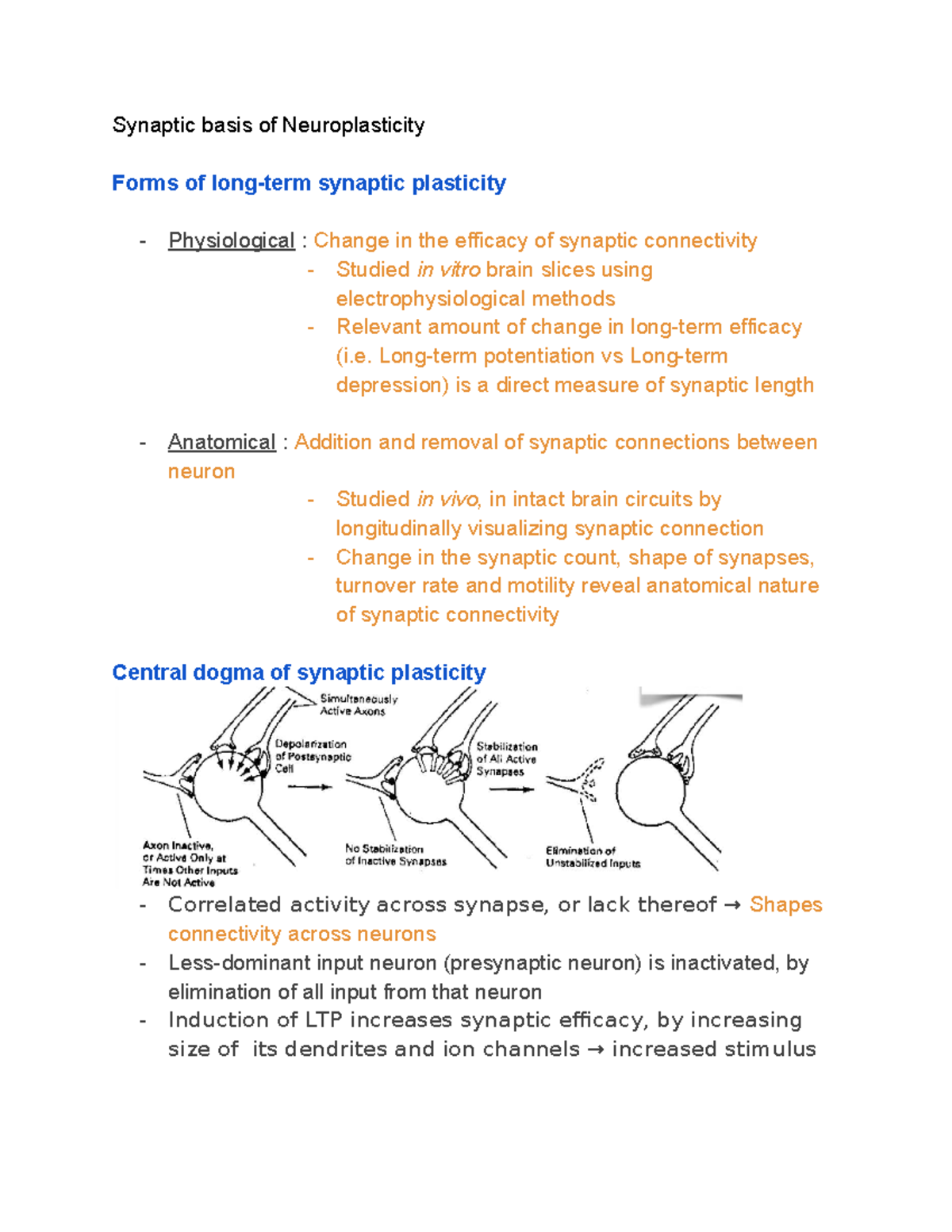 Neuroplasticity and Synaptic Plasticity: Note 5 Insights - Studeersnel