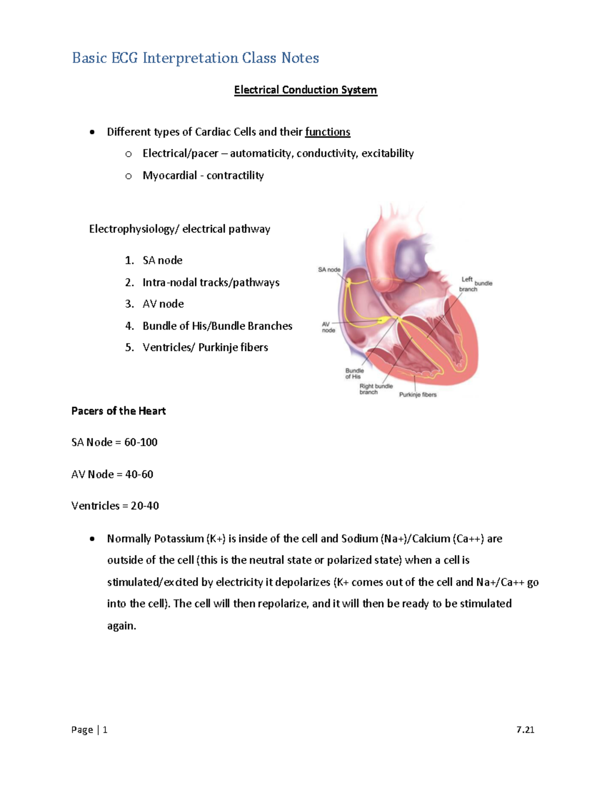 Basic ECG Interpretation Class Notes (7.21) - Electrical Conduction ...