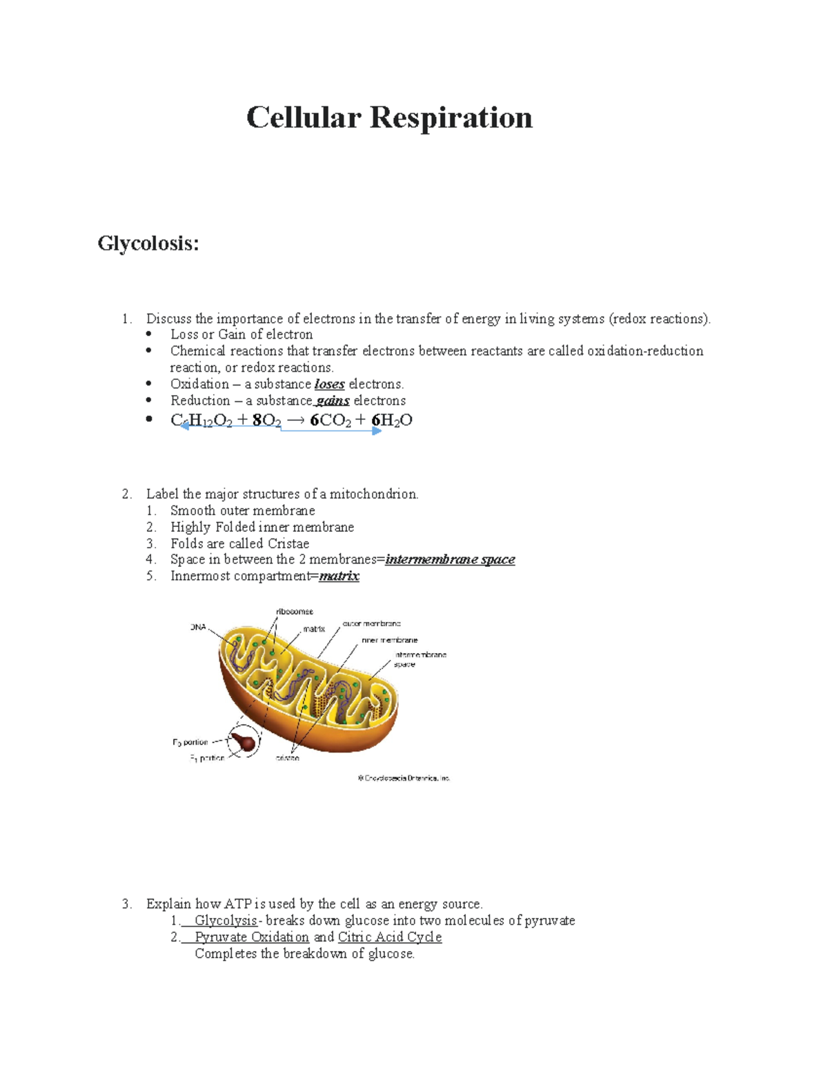 Cellular Respiration: Key Concepts and Processes in Glycolysis - Studocu