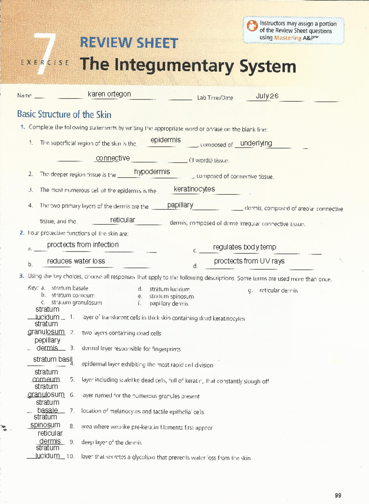 AP - Lab Exam 07 Review Sheet: Chapter 7 - Integumentary System - Studocu