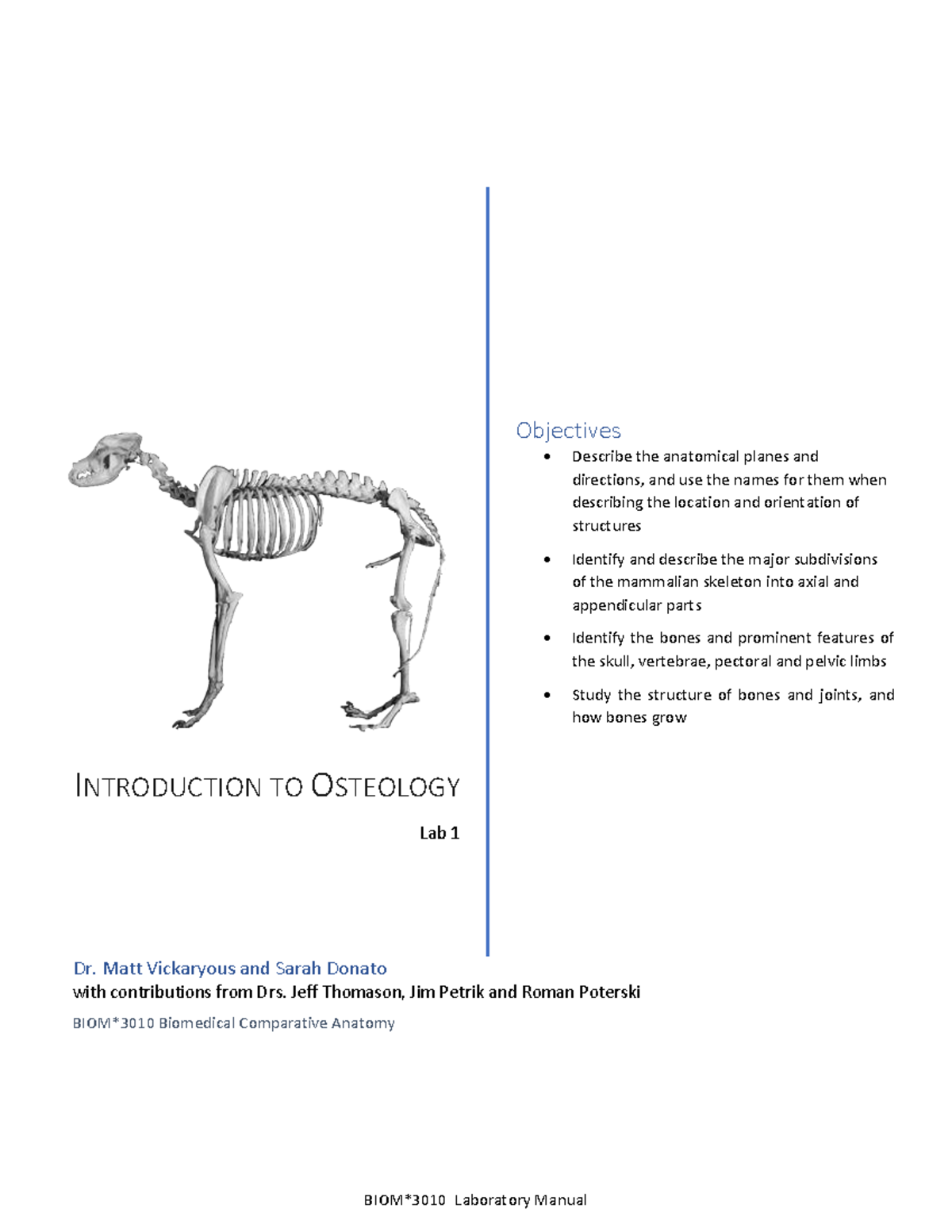 Osteology Lab Manual (BIO 101): Anatomical Planes & Skeleton Overview ...
