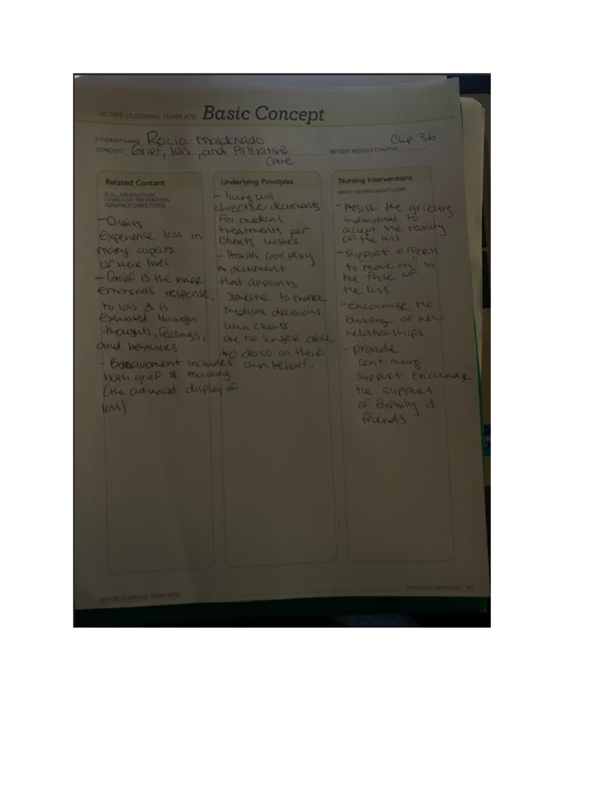 Ch. 36 Grief, Loss, and Palliative Care Review Notes - Studocu