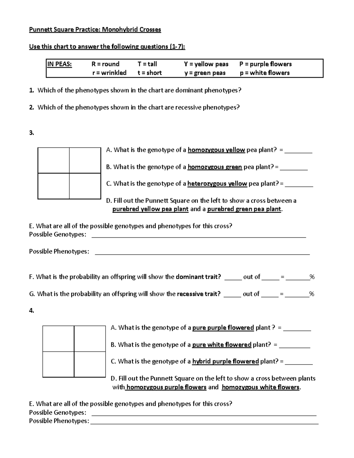 Monohybrid Cross Practice: Punnett Square Exercises for Genetics - Studocu