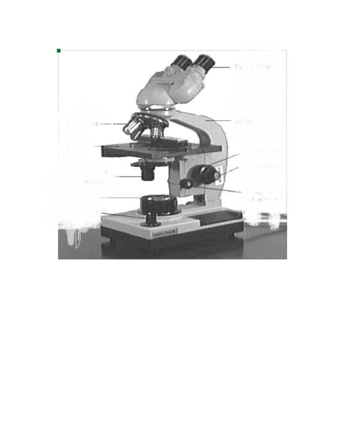 Title: Overview of Light Microscopy Techniques and Applications - BIO ...