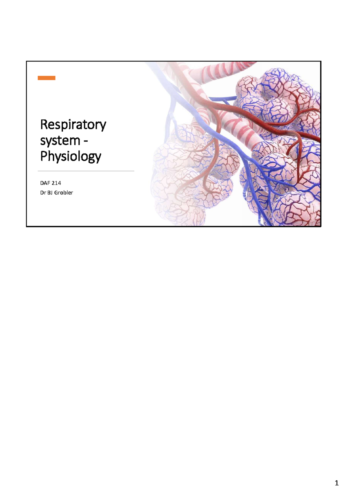 Respiratory System Physiology DAF 214: Ventilation and Lung Mechanics ...