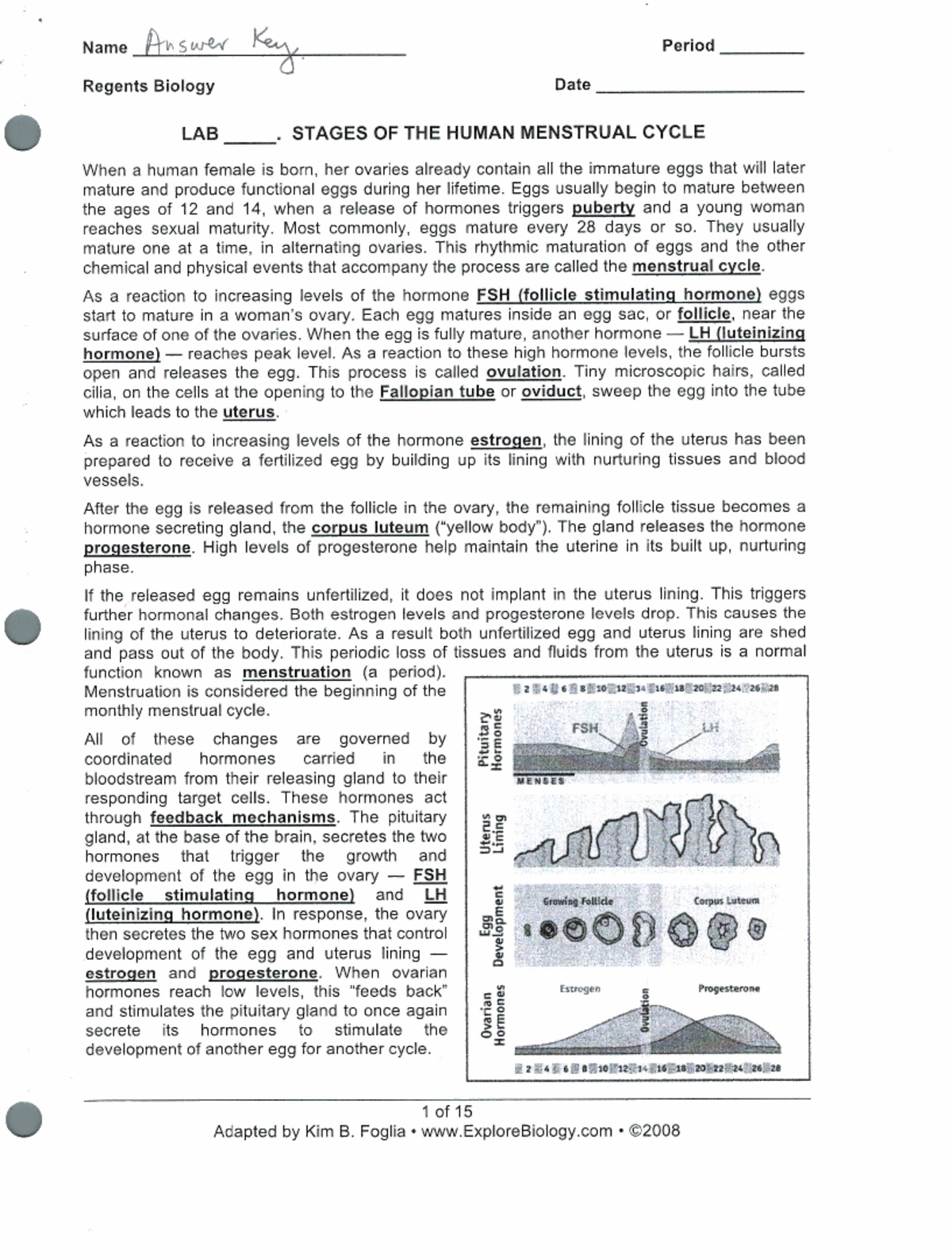 CCF05282019 - Regents Biology Cheat Sheet: Human Menstrual Cycle - Studocu