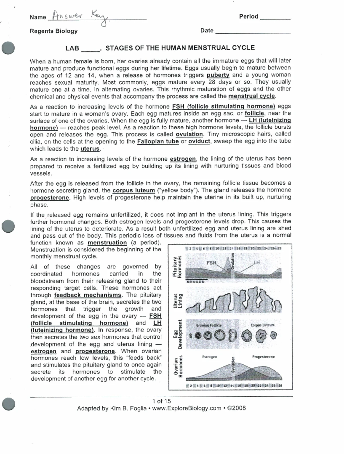 Amoeba Sisters - Natural Selection Video Recap Answer Key - Studocu