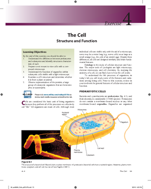 Cell+Theory+Notes - chapter 1 biology notes - Robert Hooke – English ...