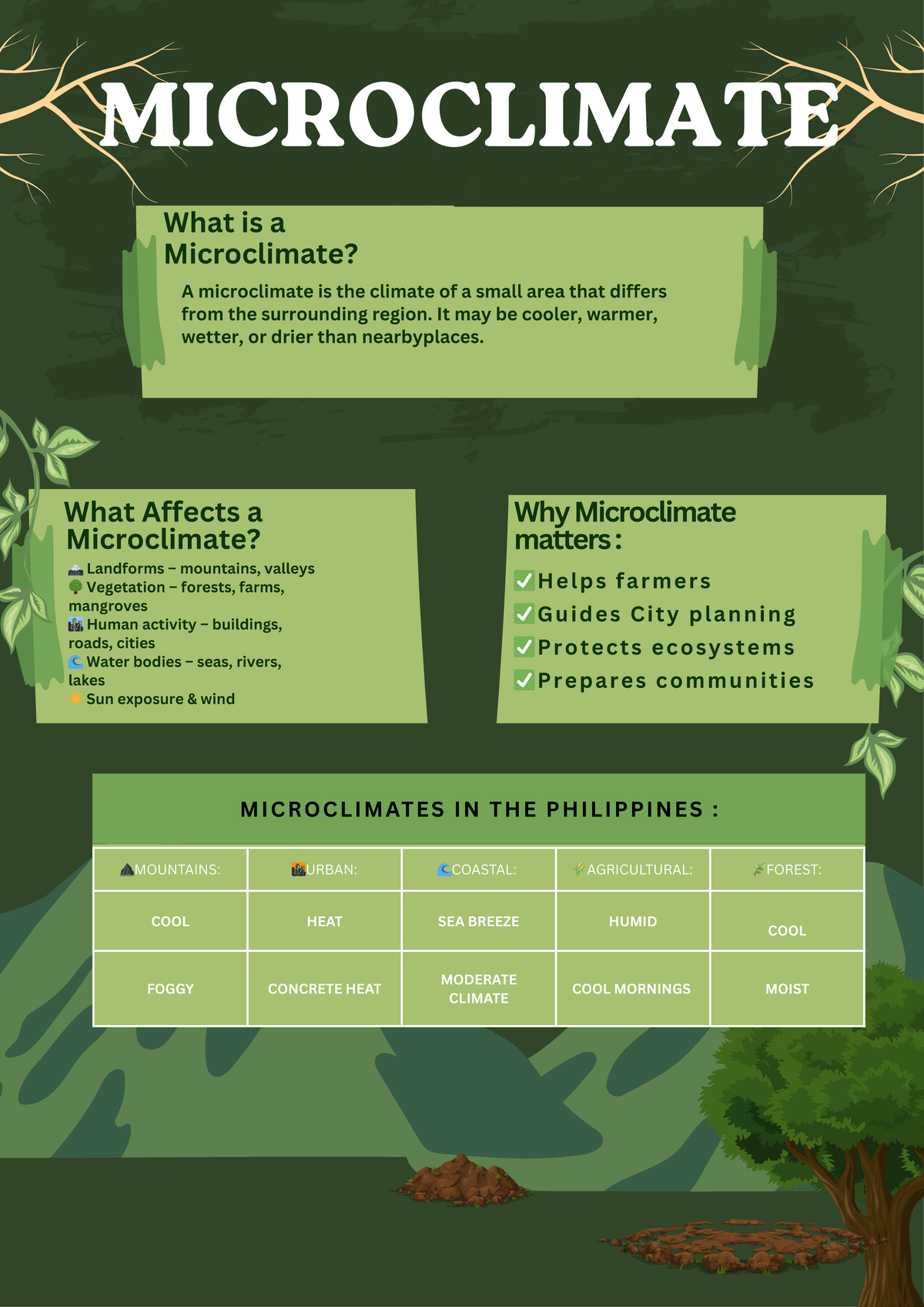 MICROCLIMATE: Understanding Its Impact and Importance in the ...