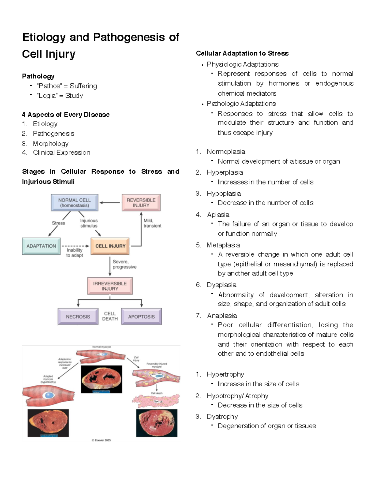 General Pathology (PATH 101) - Understanding Cellular Injury - Studocu