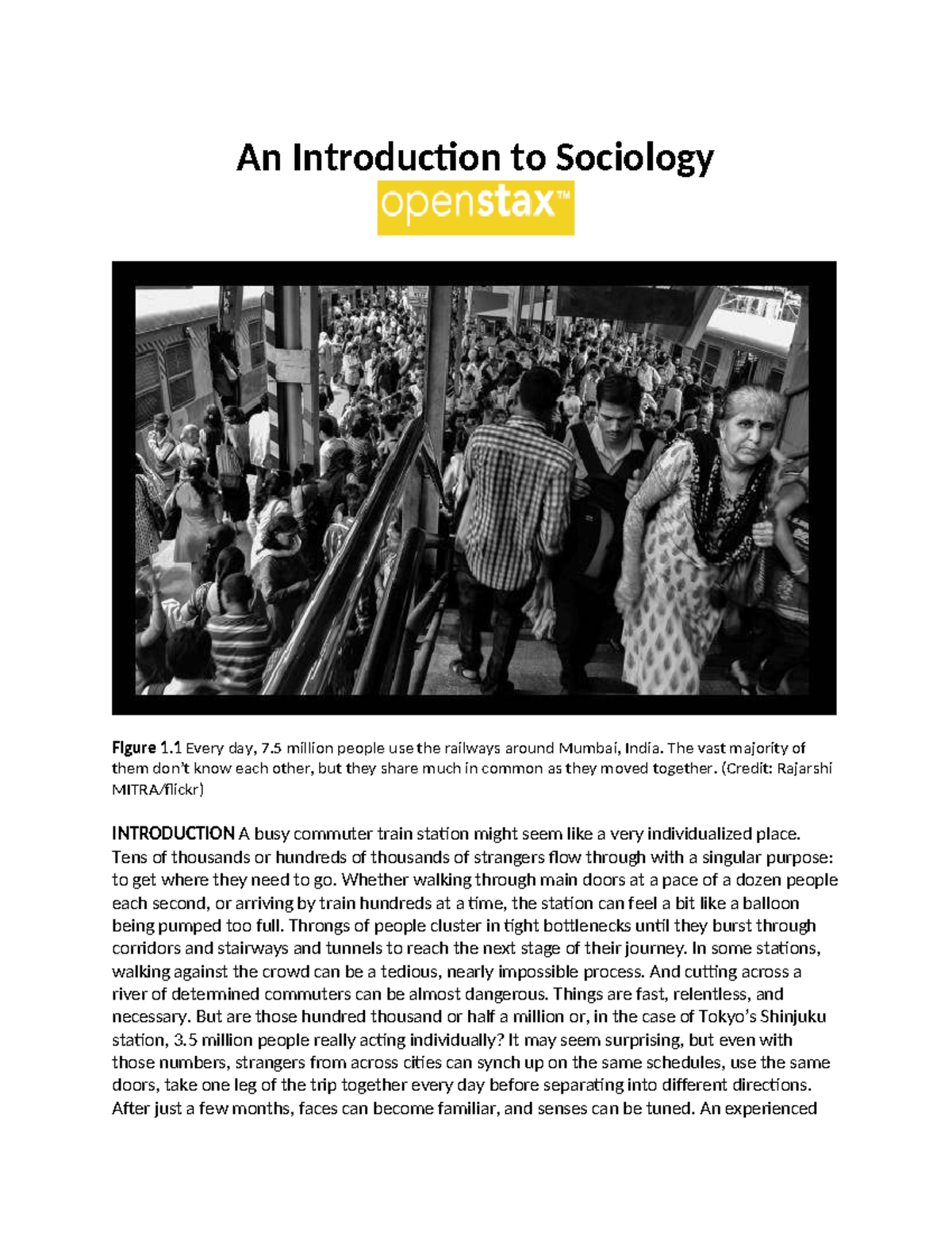 Sociology 101: Exploring Society and Culture Through Theory - Studocu