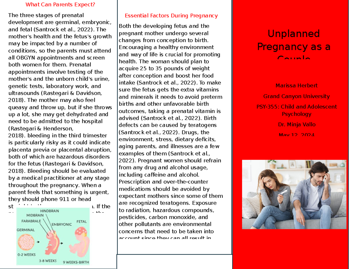 PSY-355 Brochure: Biological Beginnings and Prenatal Development - Studocu