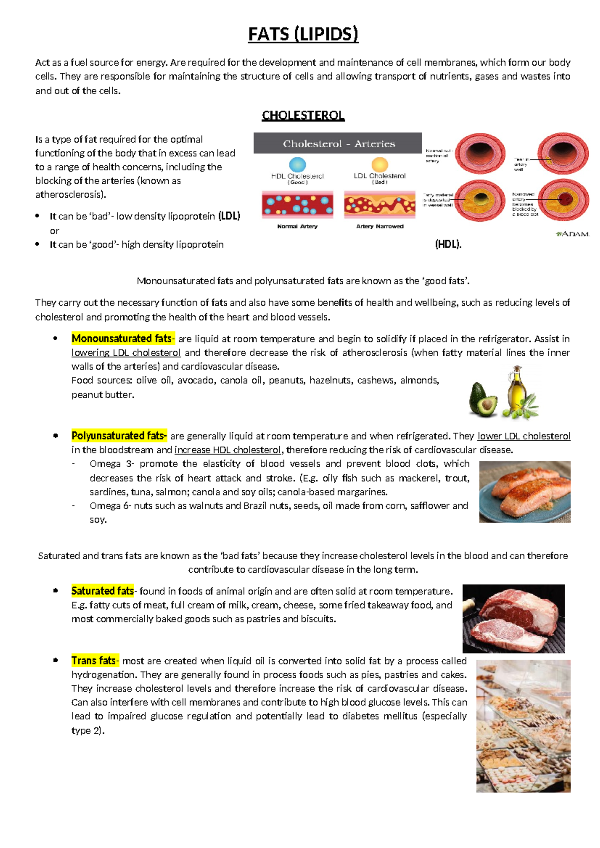 FATS (LIPIDS) AND THEIR IMPACT ON HEART HEALTH: A COMPREHENSIVE GUIDE ...