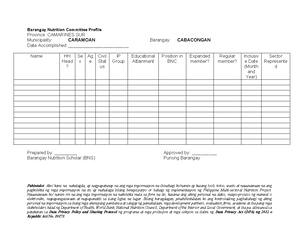 First Public Hearing Minutes Template - FIRST PUBLIC HEARING MINUTES OF ...