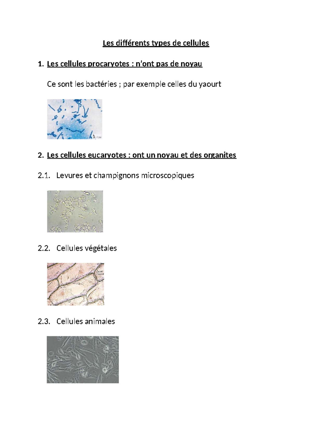 Les différents types de cellules - Biotechnologies - Les différents ...