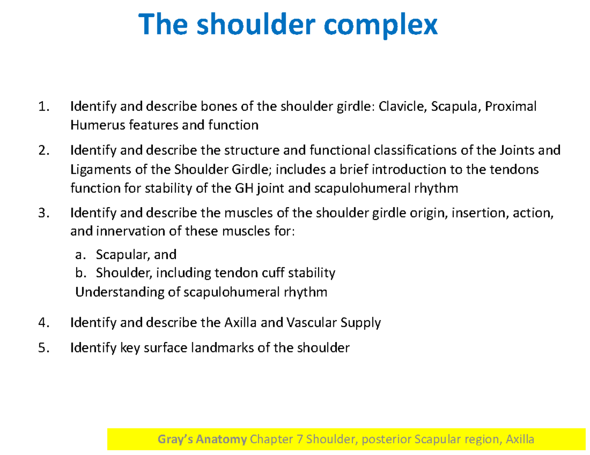 Shoulder girdle anatomy and function: A comprehensive overview - Studocu