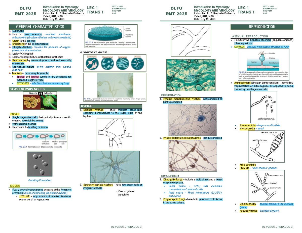 RMT 2025 Final Exam Lab Notes on Mycology and Virology - Studocu