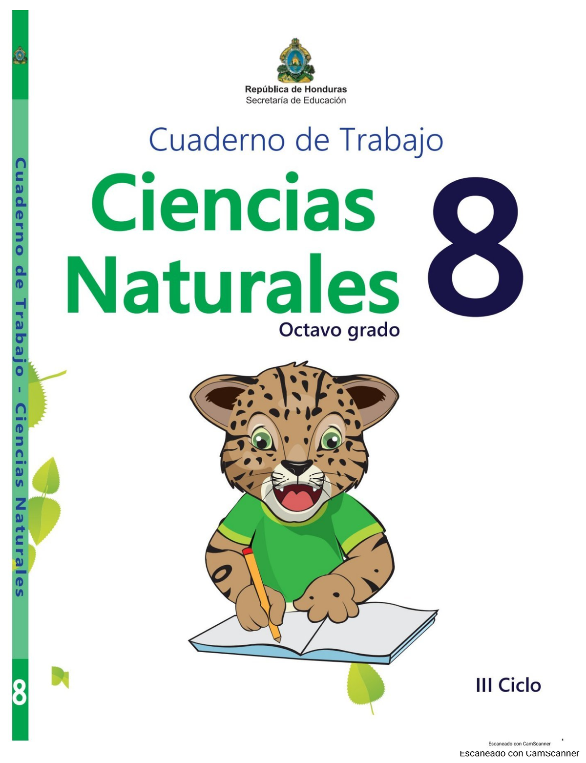 Hojas De Trabajo Para Ciencias De Octavo Grado