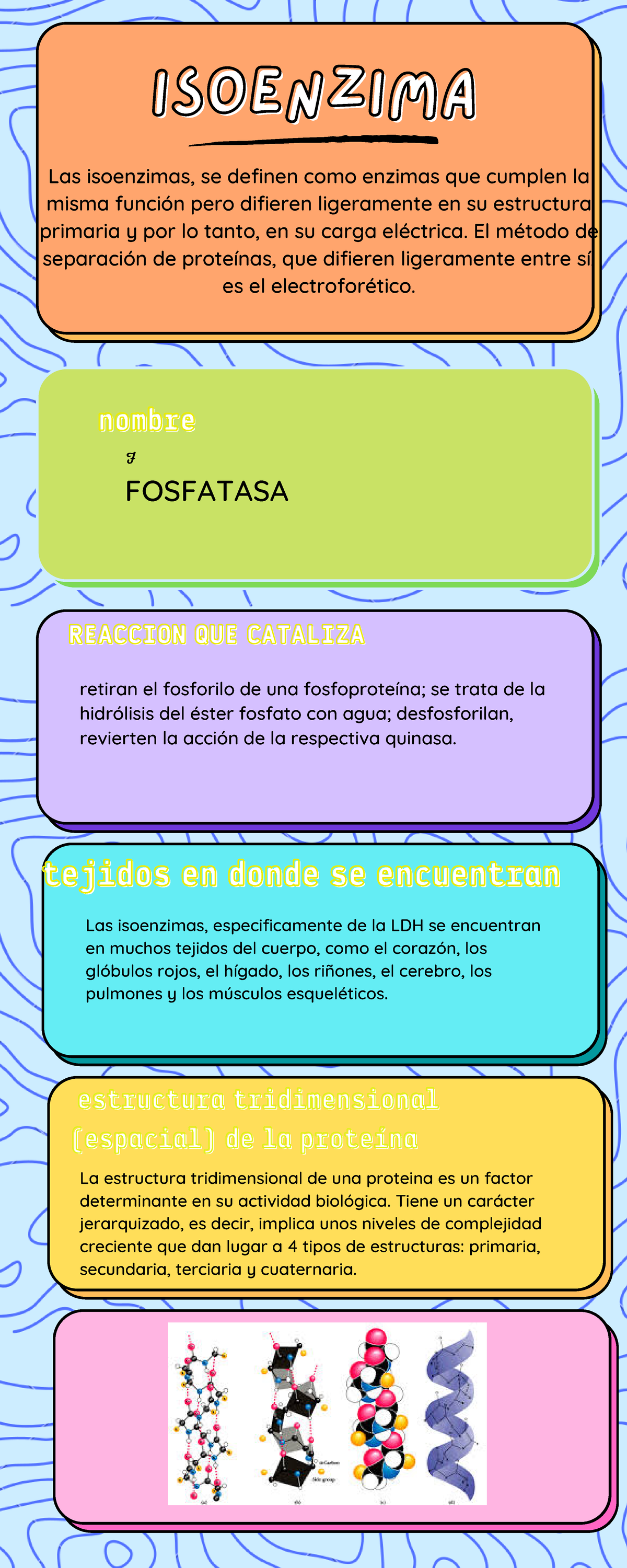 Enzima Estructura Primaria Secundaria Terciaria