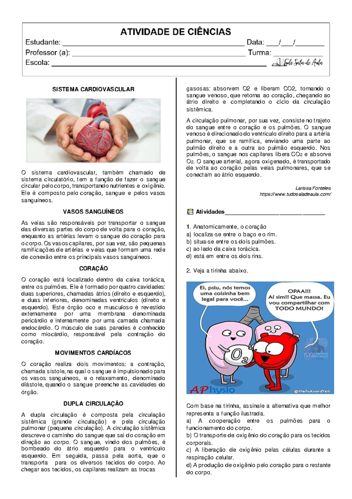 Sistema Cardiovascular: Estrutura e Função - TUDO SALA DE AULA - Studocu