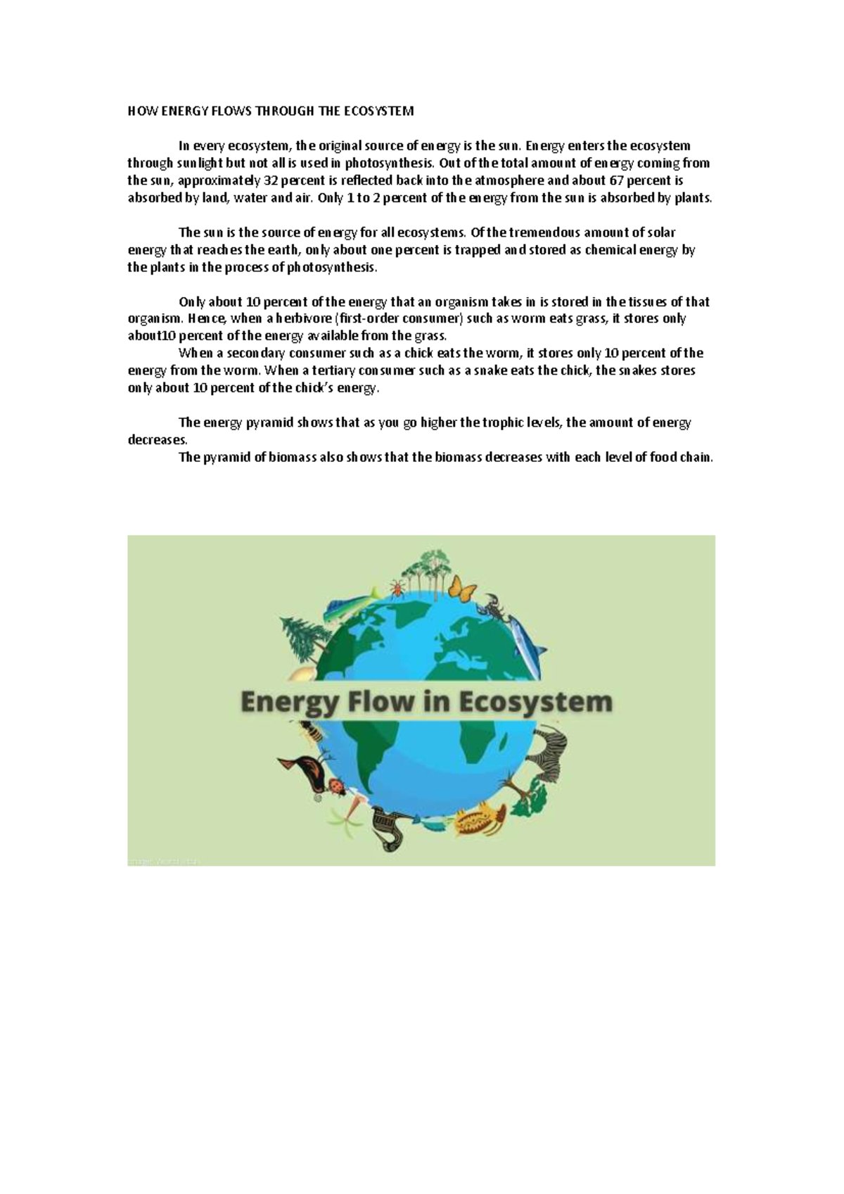 Flow-of-energy - Flow of energy (Environmental Science) - HOW ENERGY ...