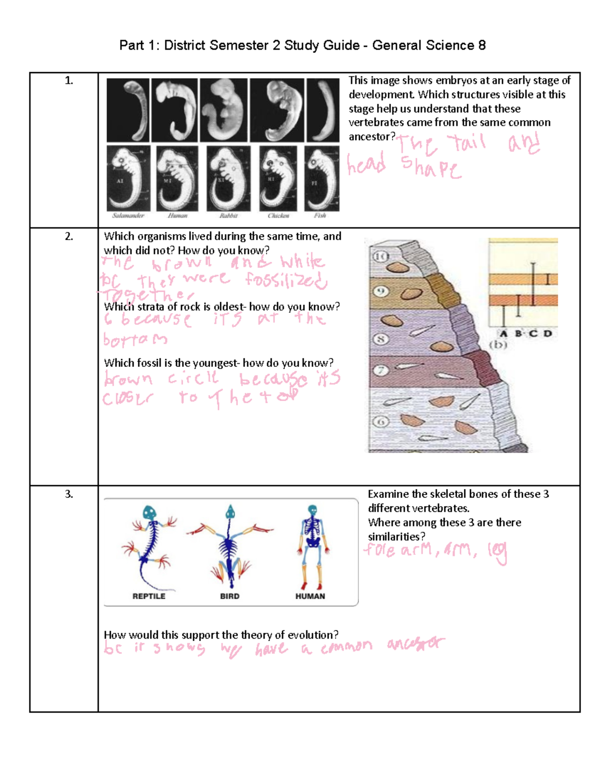 GS2 EOC SEM2 Study Guide 2024 - Part 1 : District Semester 2 Study ...