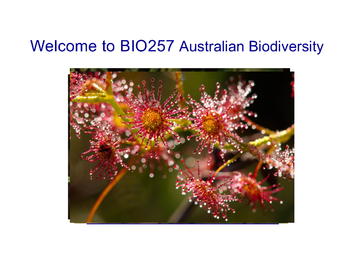 BIO257 Australian Biodiversity: A Comprehensive Guide to Taxonomy and ...