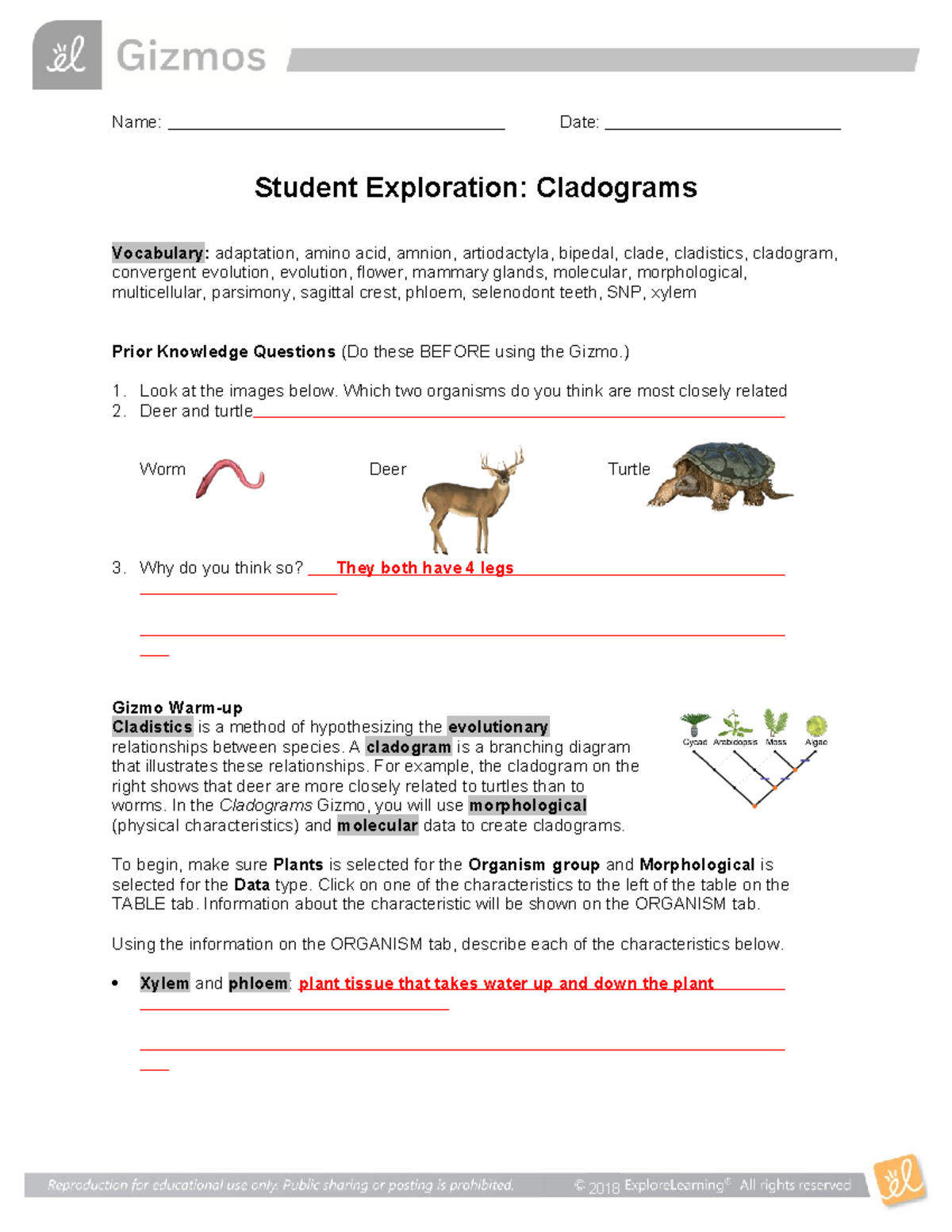 Exploring Cladograms with Gizmo: A Student Guide - Studocu