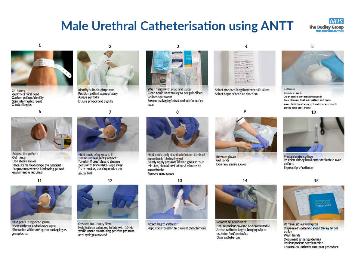 Male Cath Aug20 - medical practices - Male Urethral Catheterisa-on ...