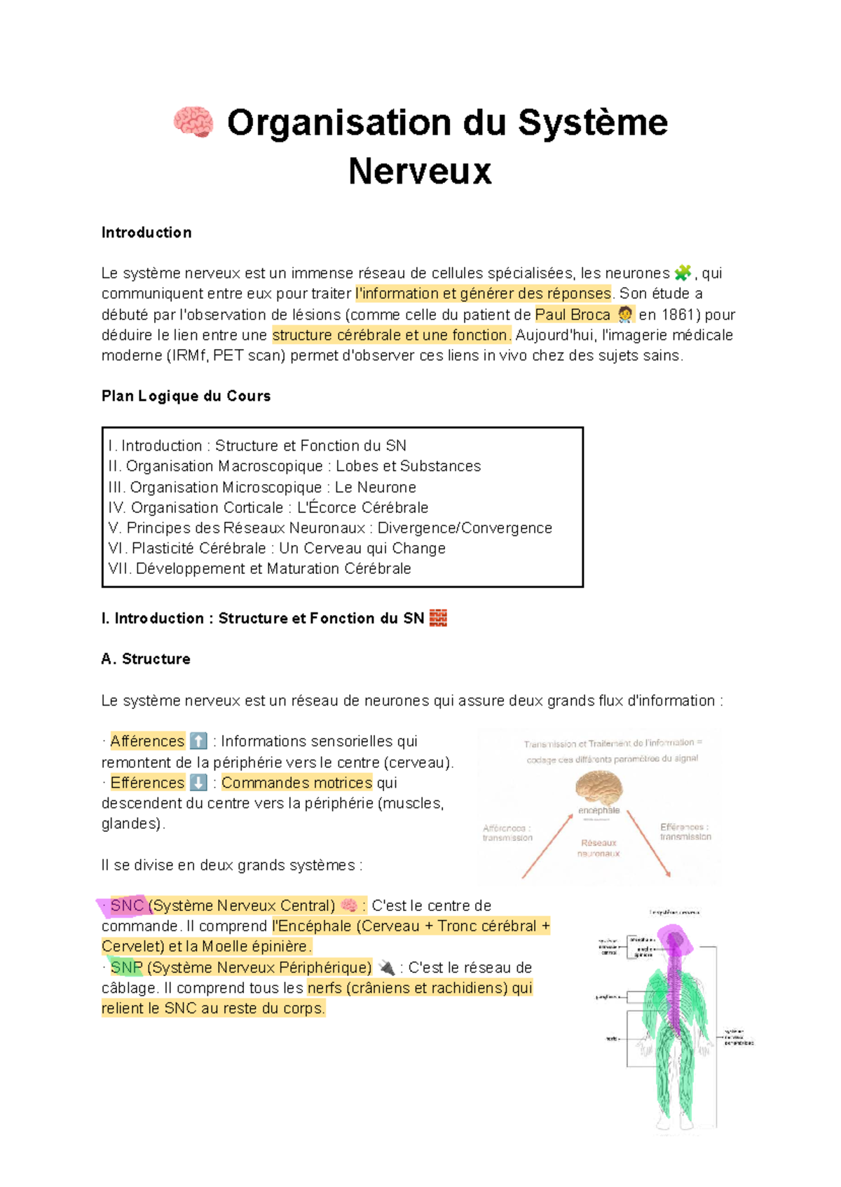 Organisation du Système Nerveux - Cours Complet et Analyse - Studocu