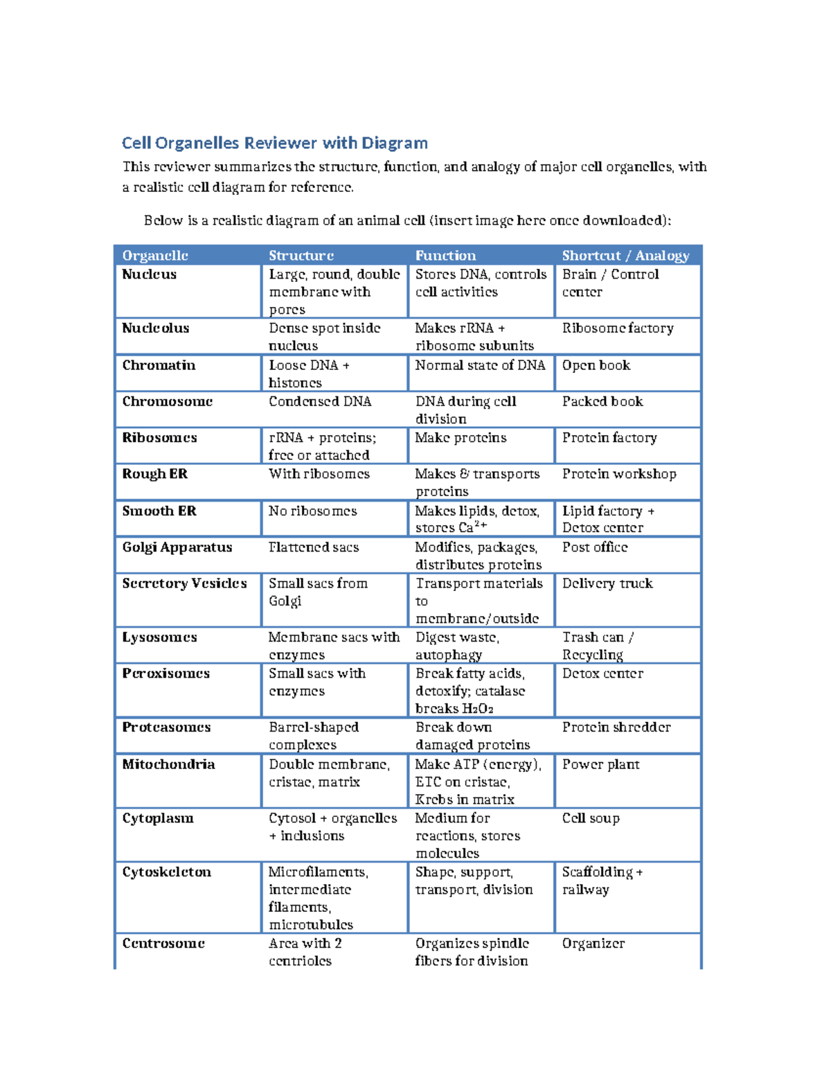 Cell Organelles Review: Structure, Function & Diagram - Studocu