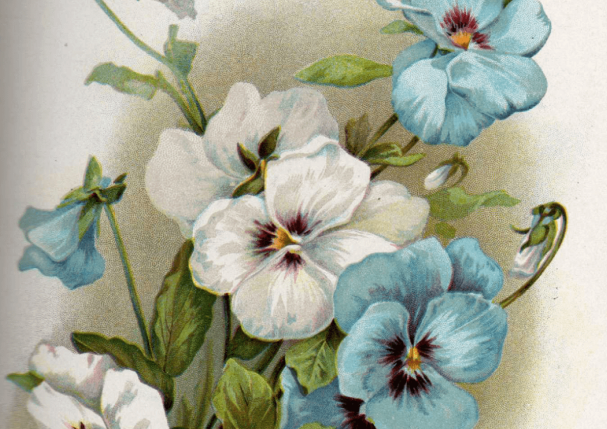 Statistics-Reviewer: Quick Guide to Data Collection & Analysis - Studocu