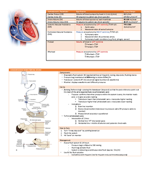 Separation Health Assessment Exam Guide - Veteran Services Separation ...