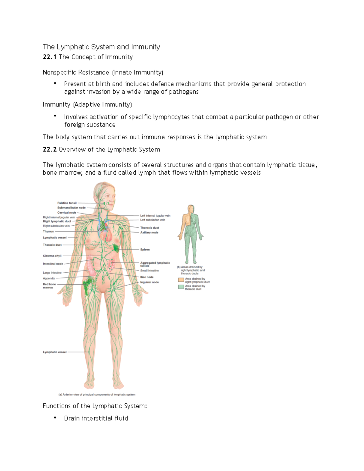 Chapter 22 The Lymphatic System and Immunity - The Lymphatic System and ...