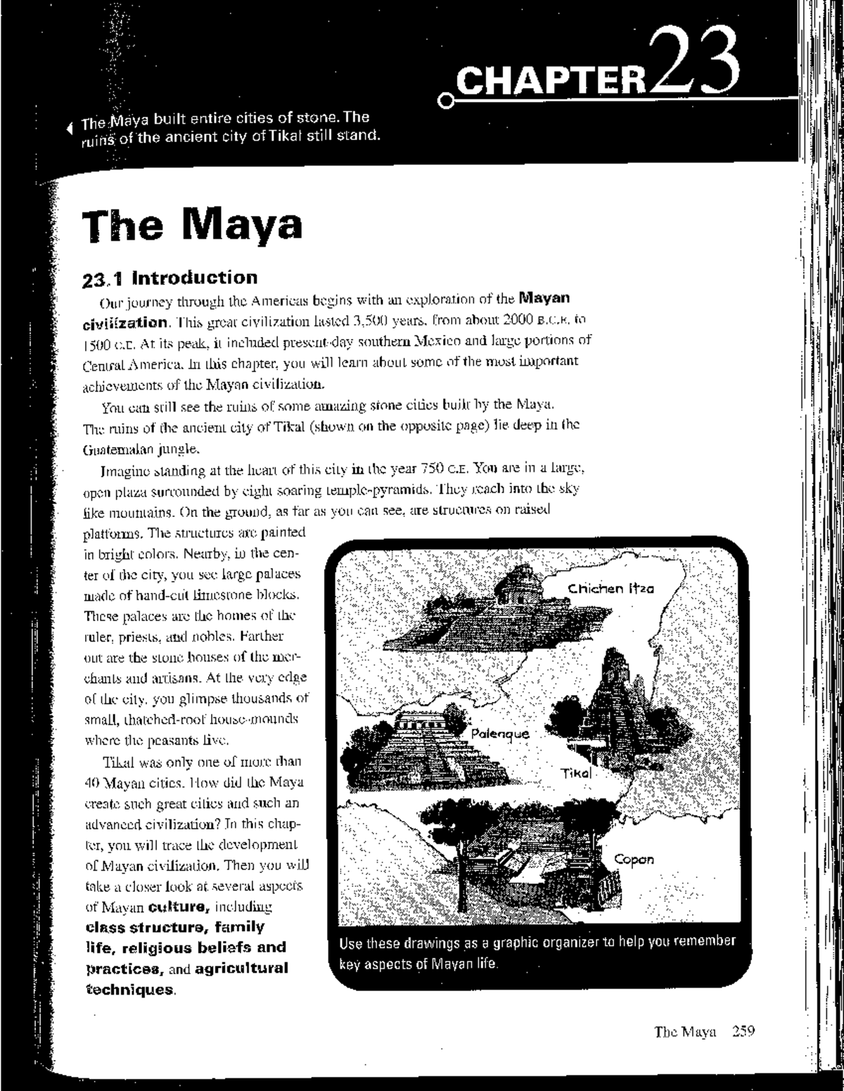MAYA 23: The Rise and Fall of the Ancient Civilization - Studocu