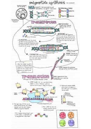 Biozone Model Answers - MODEL ANSWERS IB BIOLOGY SECOND EDITION 0 L ...