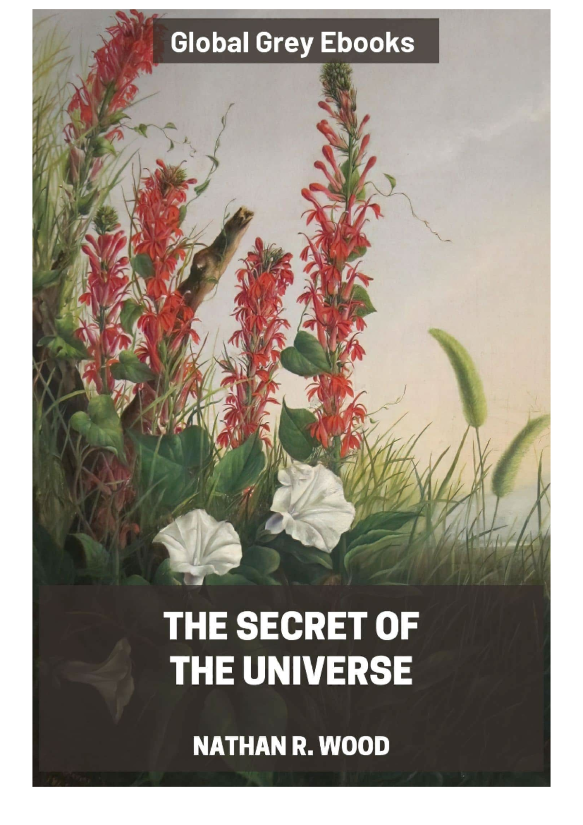 Nathan-r-wood secret-of-the-universe - Contents Introduction The Outer ...