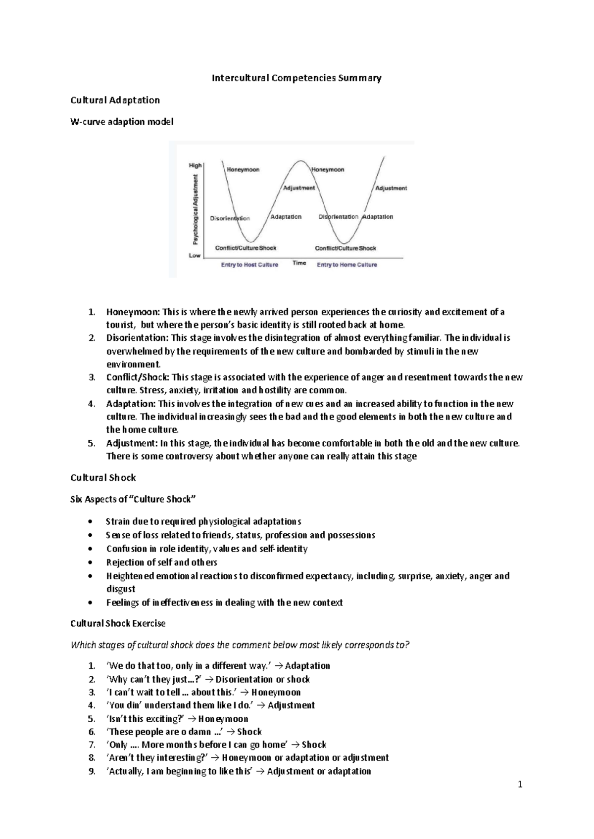 Intercultural Competencies Summary: Cultural Adaptation Model 2025 ...