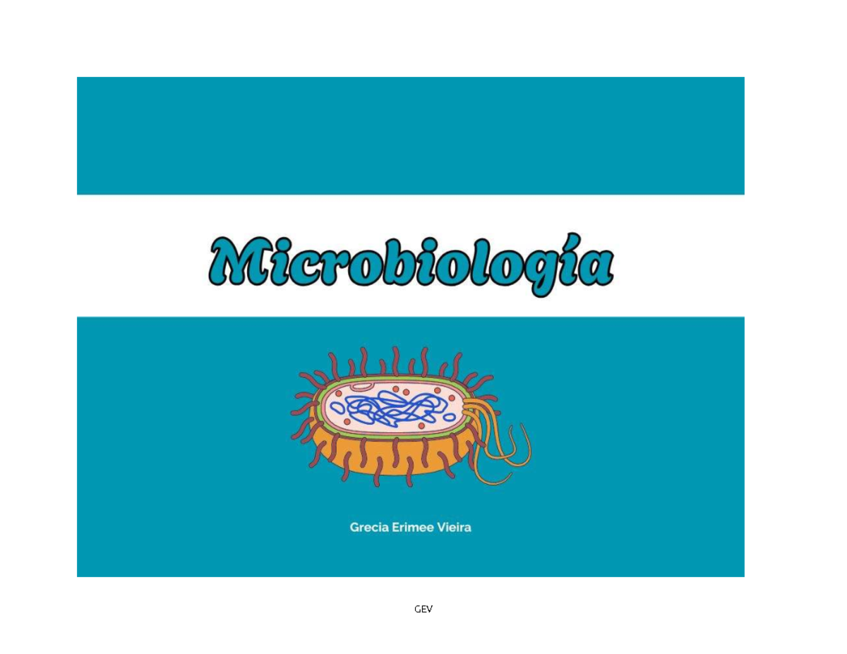 GEV Resumen de Microbiología: Virus ARN y ADN en Enfermedades ...