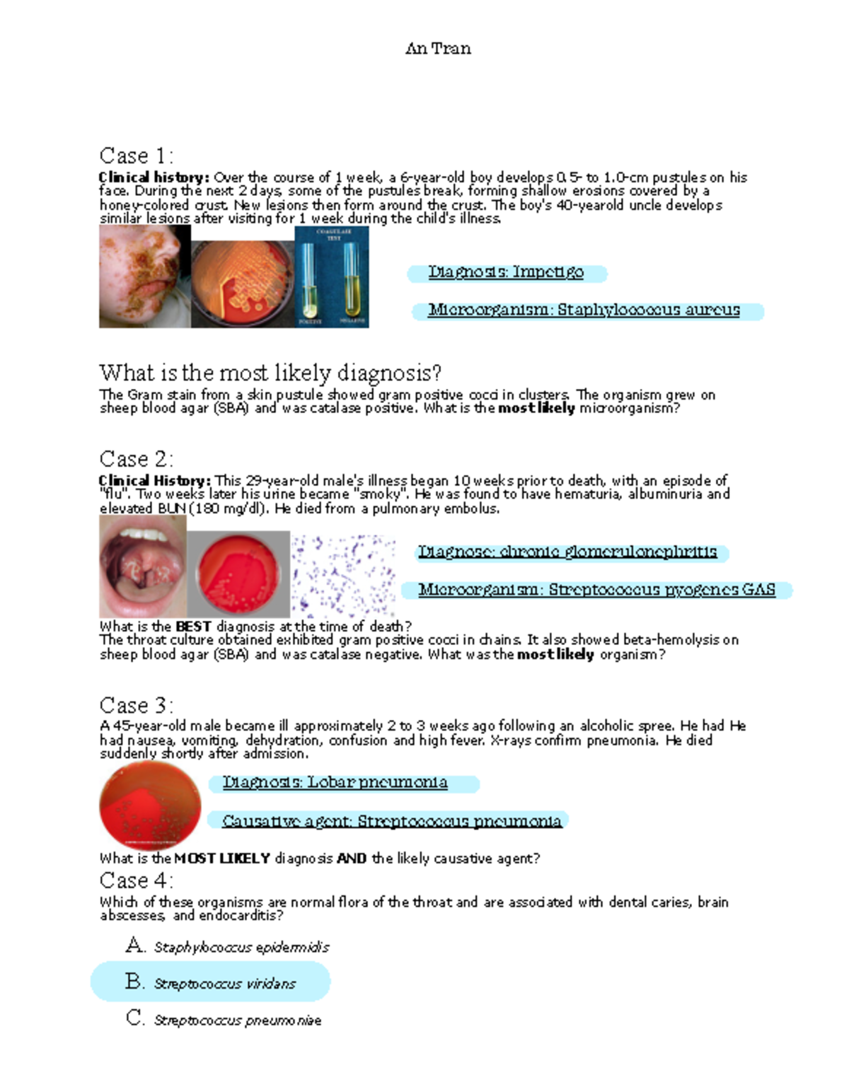 Gram-Positive Bacteria Case Study: Diagnoses & Microorganisms Analysis ...