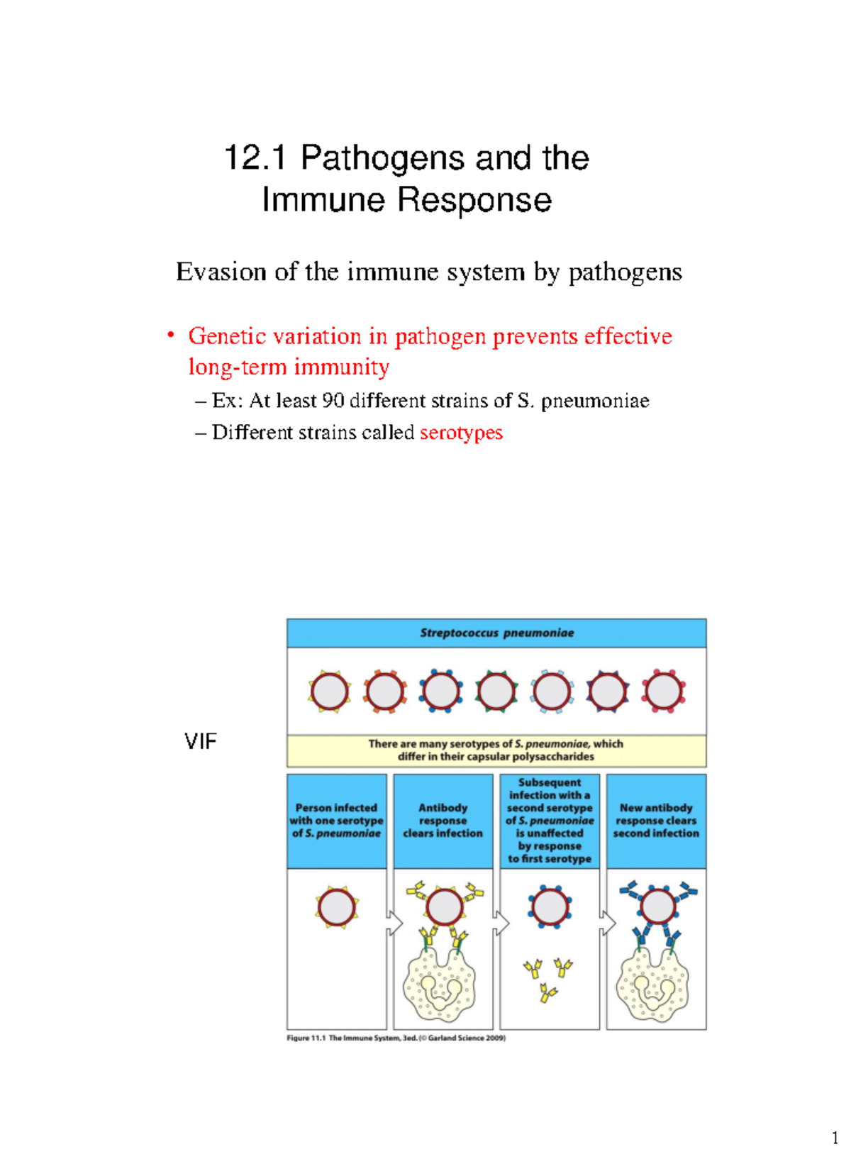 Mechanisms of Immune Evasion by Pathogens: Insights and Examples - Studocu