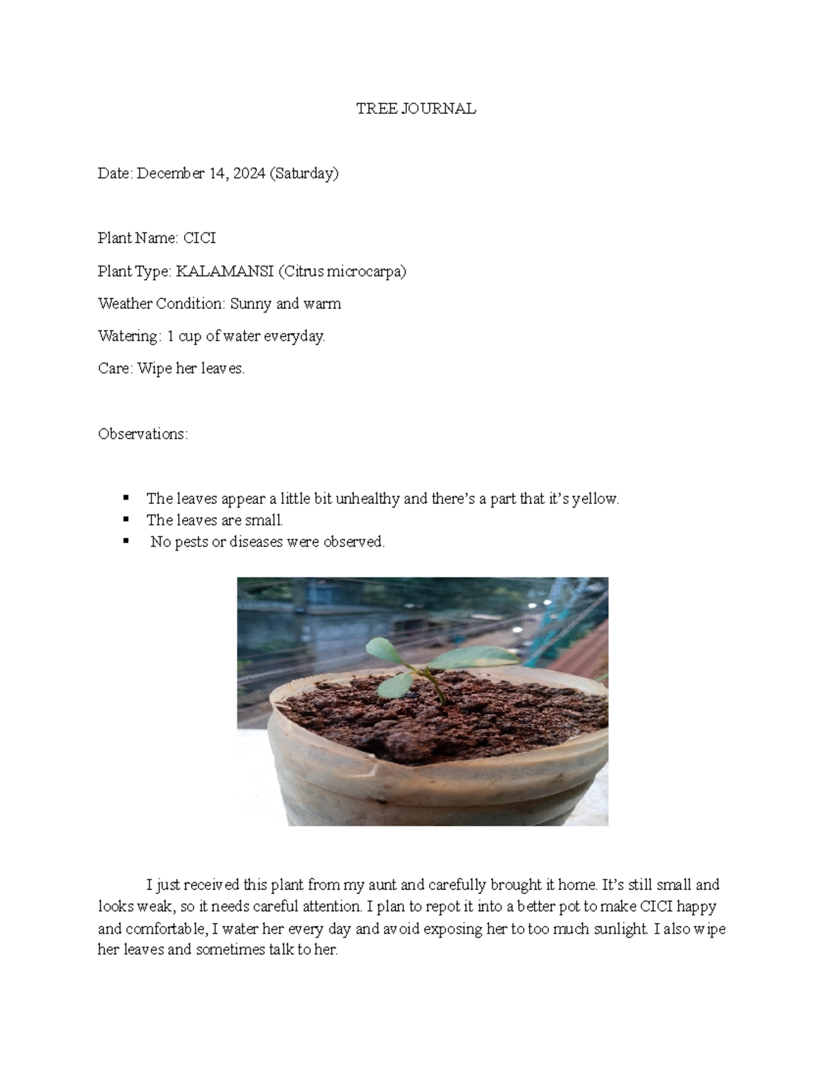 TREE JOURNAL: CICI's Growth Observations (Kalamansi Care) - Studocu